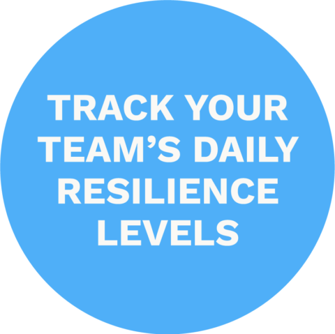 The Resilience Dynamic Dashboard® - Resilience Dynamic