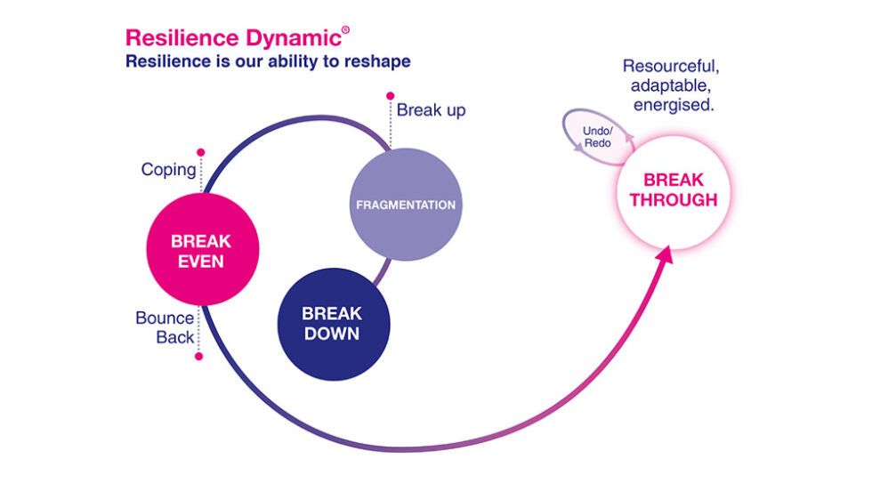 Resilience Training and Me - Resilience Dynamic