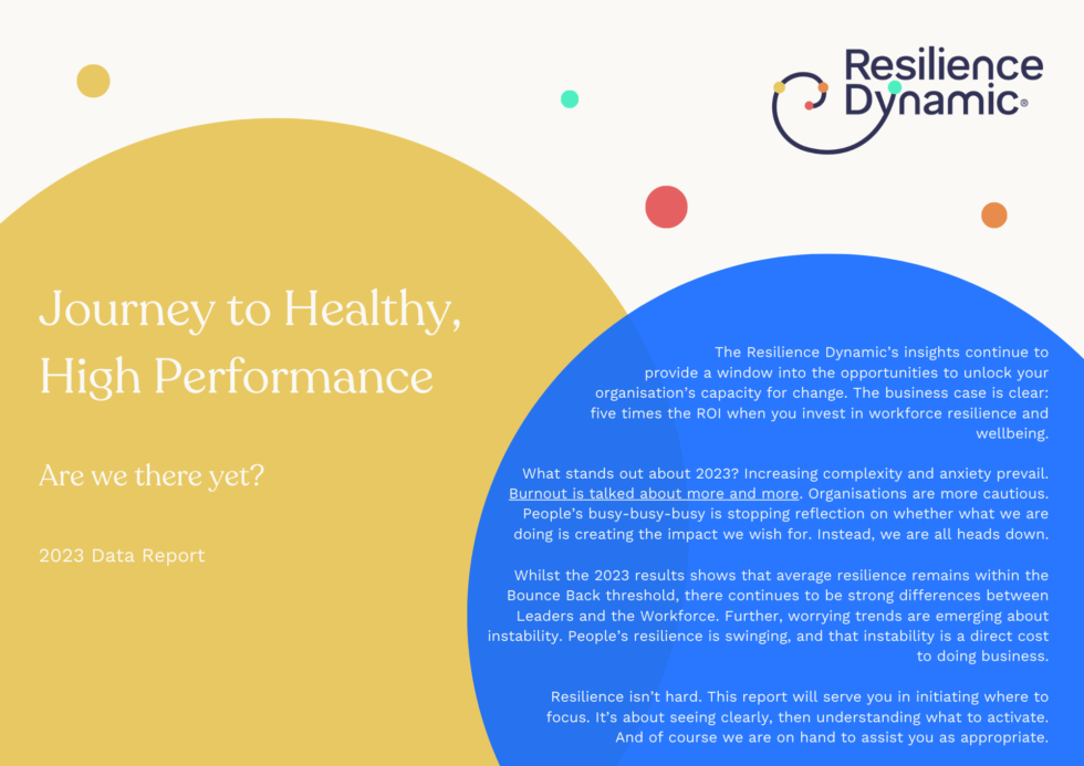 The Resilience Dynamic