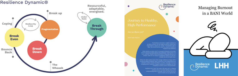 The Resilience Dynamic